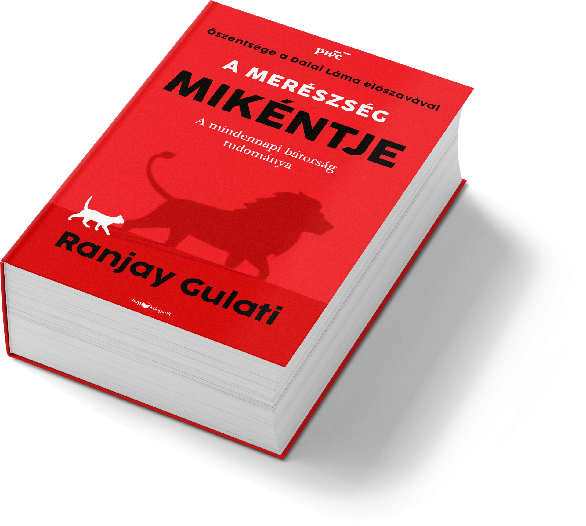 Ranjay Gulati: A merészség mikéntje – könyvbemutató | HVG Rendezvények